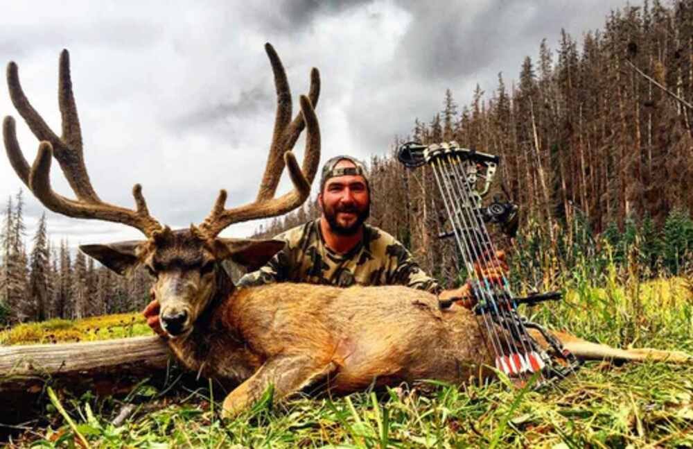 How to Master Deer Hunting: Expert Strategies for Beginners and Pros ...